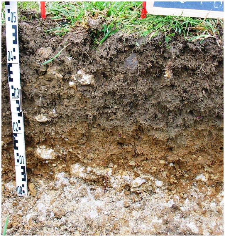 Calcisol — Triple Performance