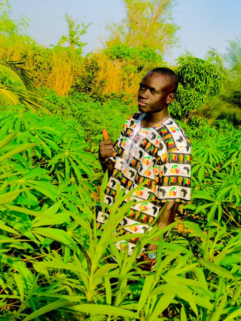 Ferme de Mamadou Diagne — Triple Performance