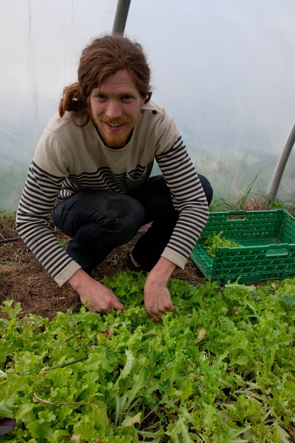 Ferme de l'Alliance — Triple Performance