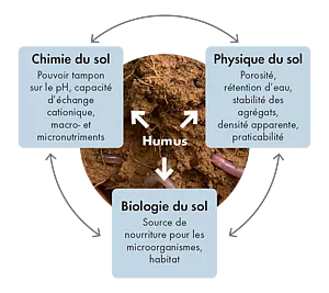 Humification – maintenir et améliorer la fertilité du sol — Triple ...