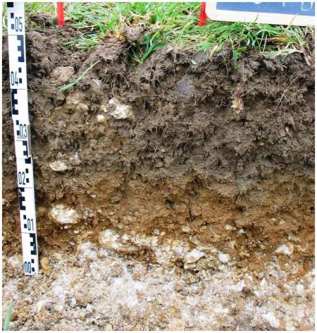 Calcisol — Triple Performance