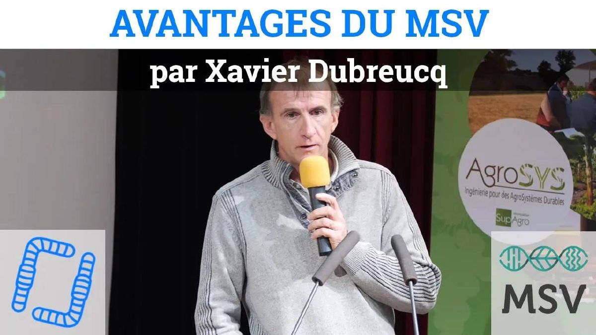 Adaptation du MSV aux grandes surfaces de production avec Xavier ...
