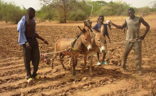 Technique du Zaï — Triple Performance