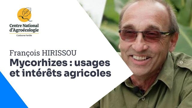 Les mycorhizes : comment les favoriser et quels intérêts agronomiques ...