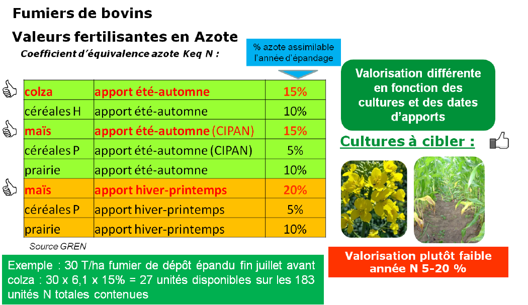 Les différentes formes d'azote — Triple Performance