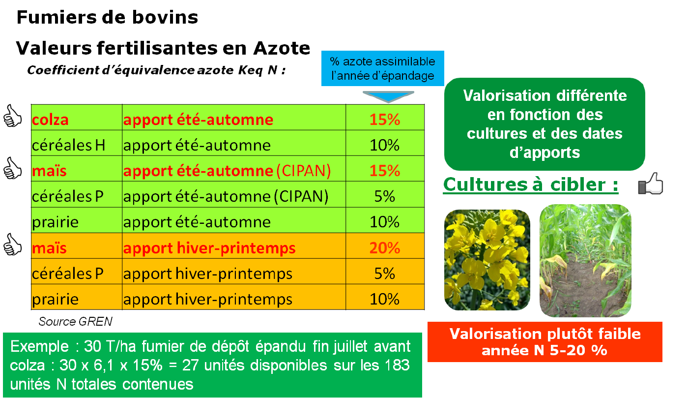 Les différentes formes d'azote — Triple Performance