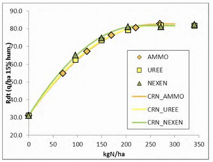 Les différentes formes d'azote — Triple Performance