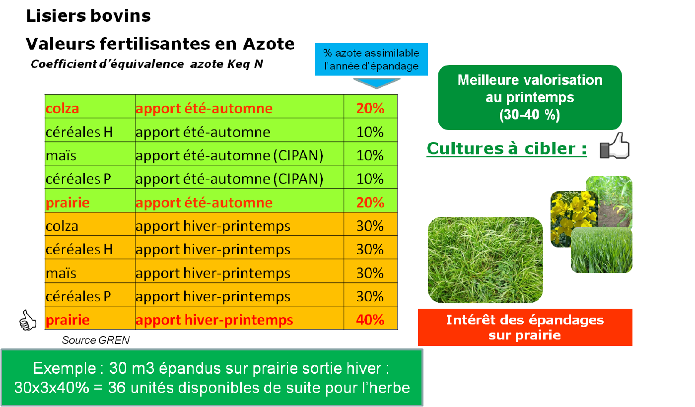 Les différentes formes d'azote — Triple Performance