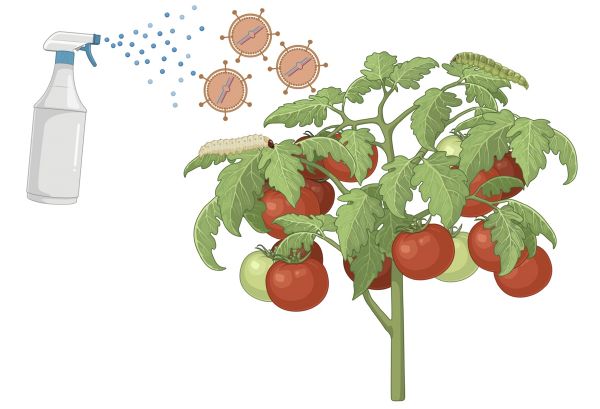 Calantha et bioinsecticides à base d'ARN — Triple Performance