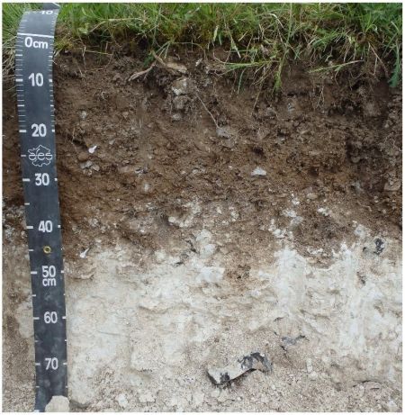 Calcosol — Triple Performance