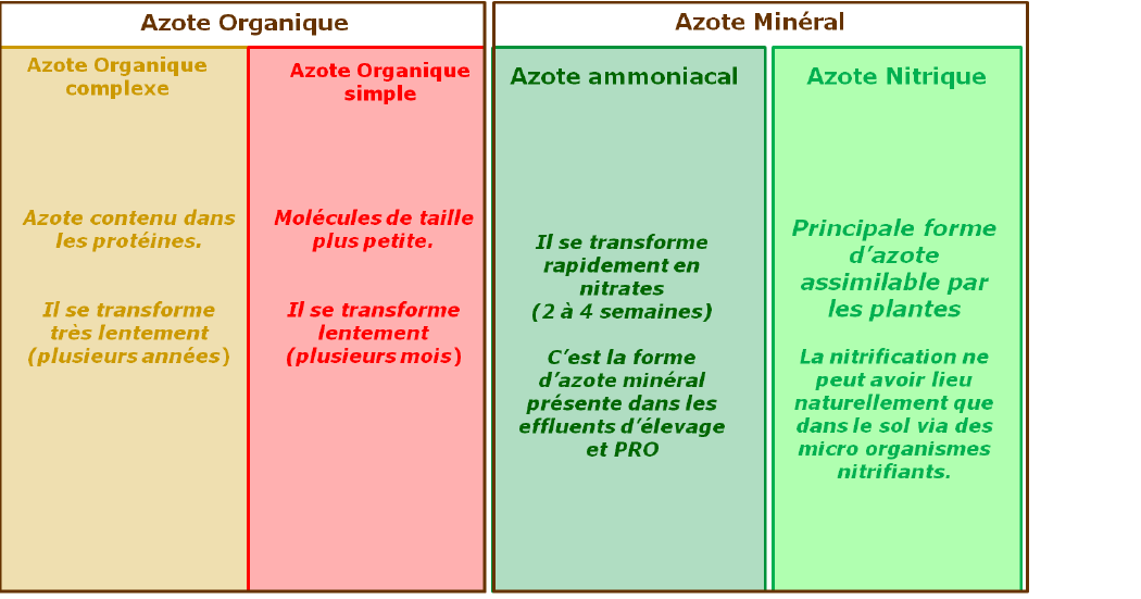 Les différentes formes d'azote — Triple Performance