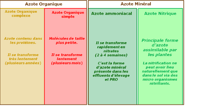 Les différentes formes d'azote — Triple Performance