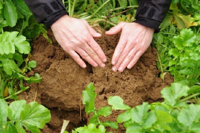 Formation : Diagnostiquer la santé des sols : la boite à outils — Triple Performance