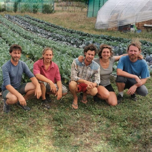 Les Jardins des Buis — Triple Performance