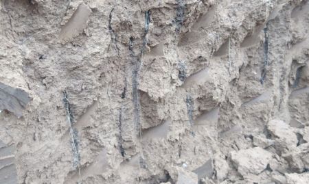 Vers de terre — Triple Performance