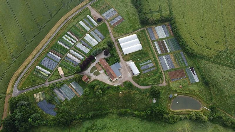 Formation : La Masterclass du jardinier-maraîcher — Triple Performance