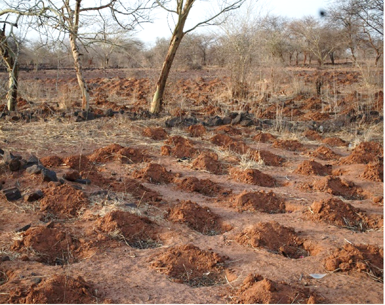 Technique du Zaï — Triple Performance