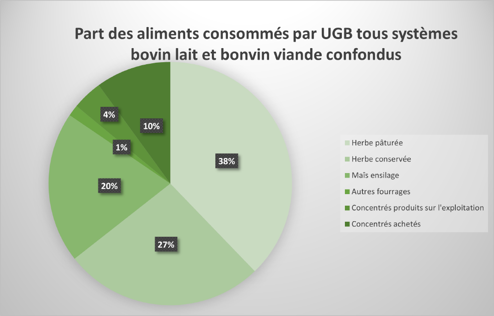 Alimentation des ruminants — Triple Performance