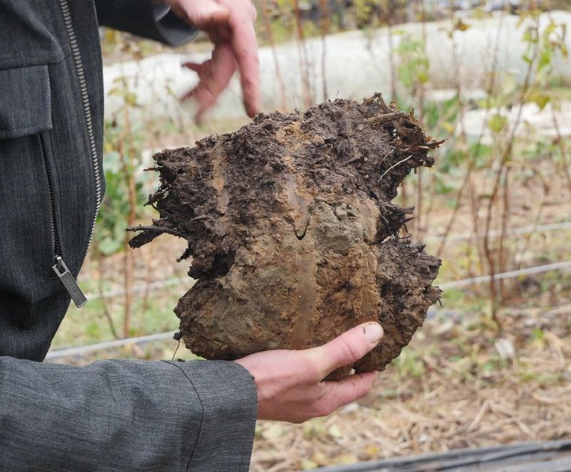 Stabilité structurale d’un sol — Triple Performance