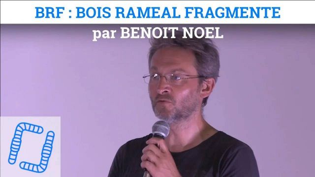 Régénérer un sol avec du BRF - Benoit Noël — Triple Performance