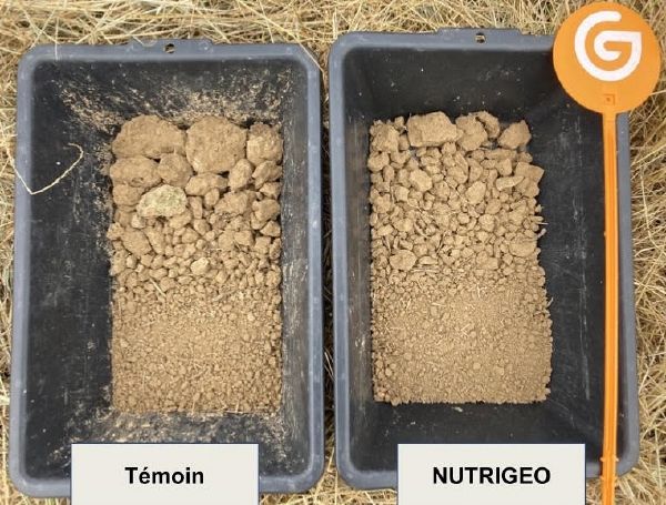 Amélioration de la structure du sol grâce à des prébiotiques — Triple Performance