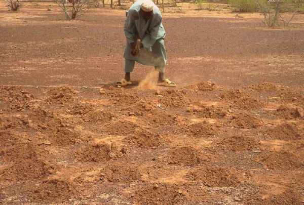Technique du Zaï — Triple Performance