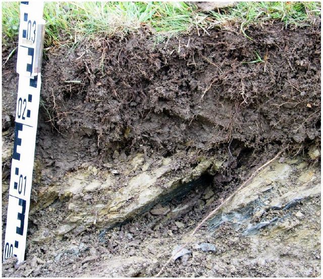 Lithosol — Triple Performance