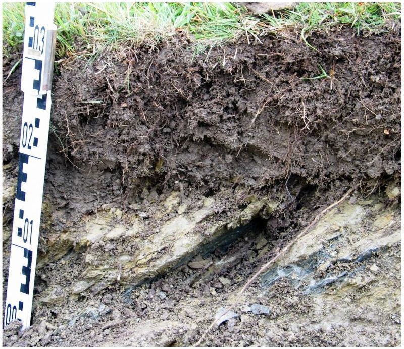 Lithosol — Triple Performance