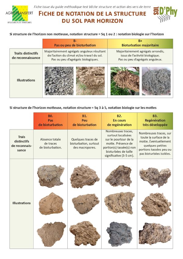 Réaliser un test bêche - VESS — Triple Performance